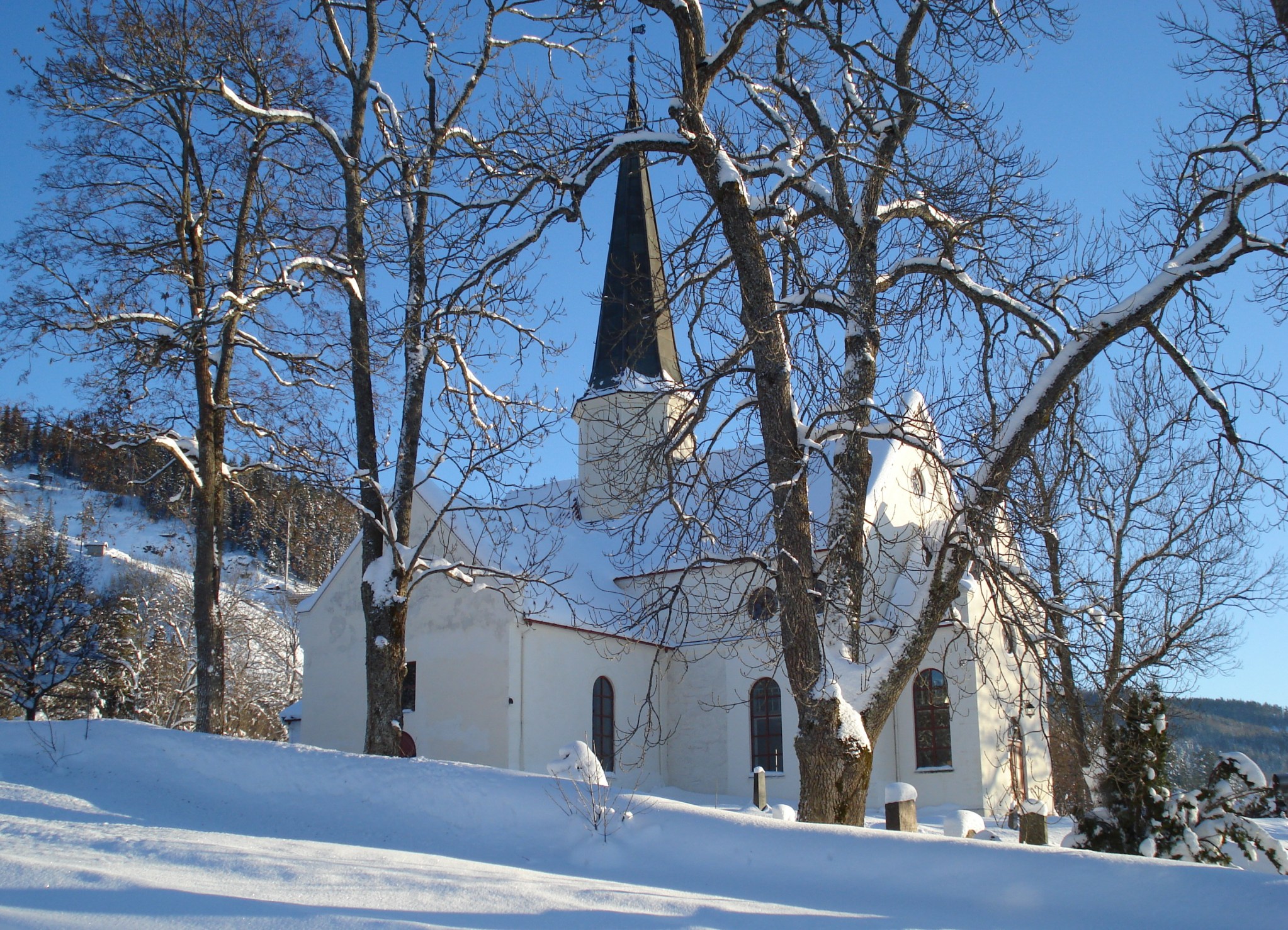 Modum – turtips – Buskerud Midtfylke